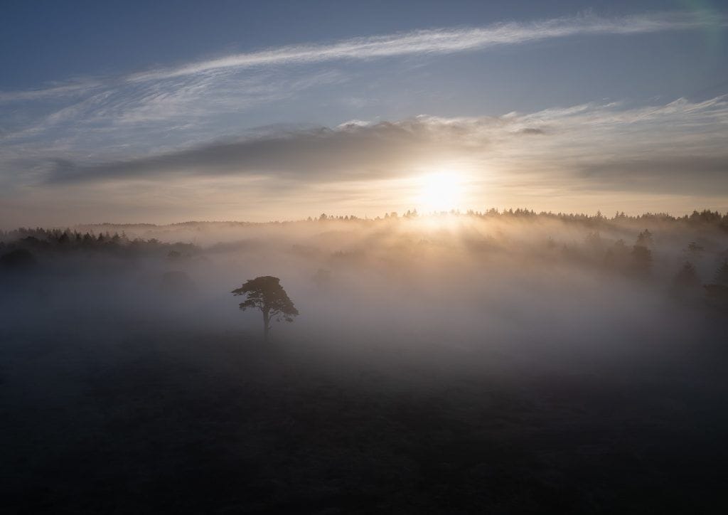 A guide to photographing mist and fog - Sam Binding Photography
