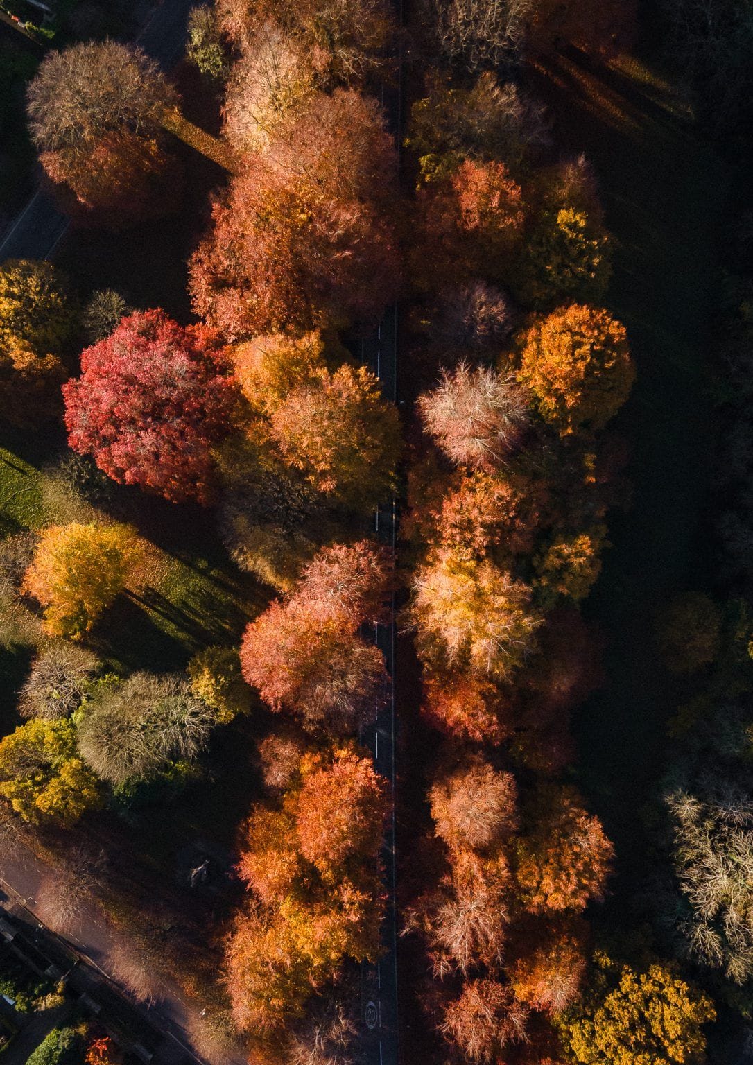 The best Autumn photography locations near Bristol - Sam Binding ...