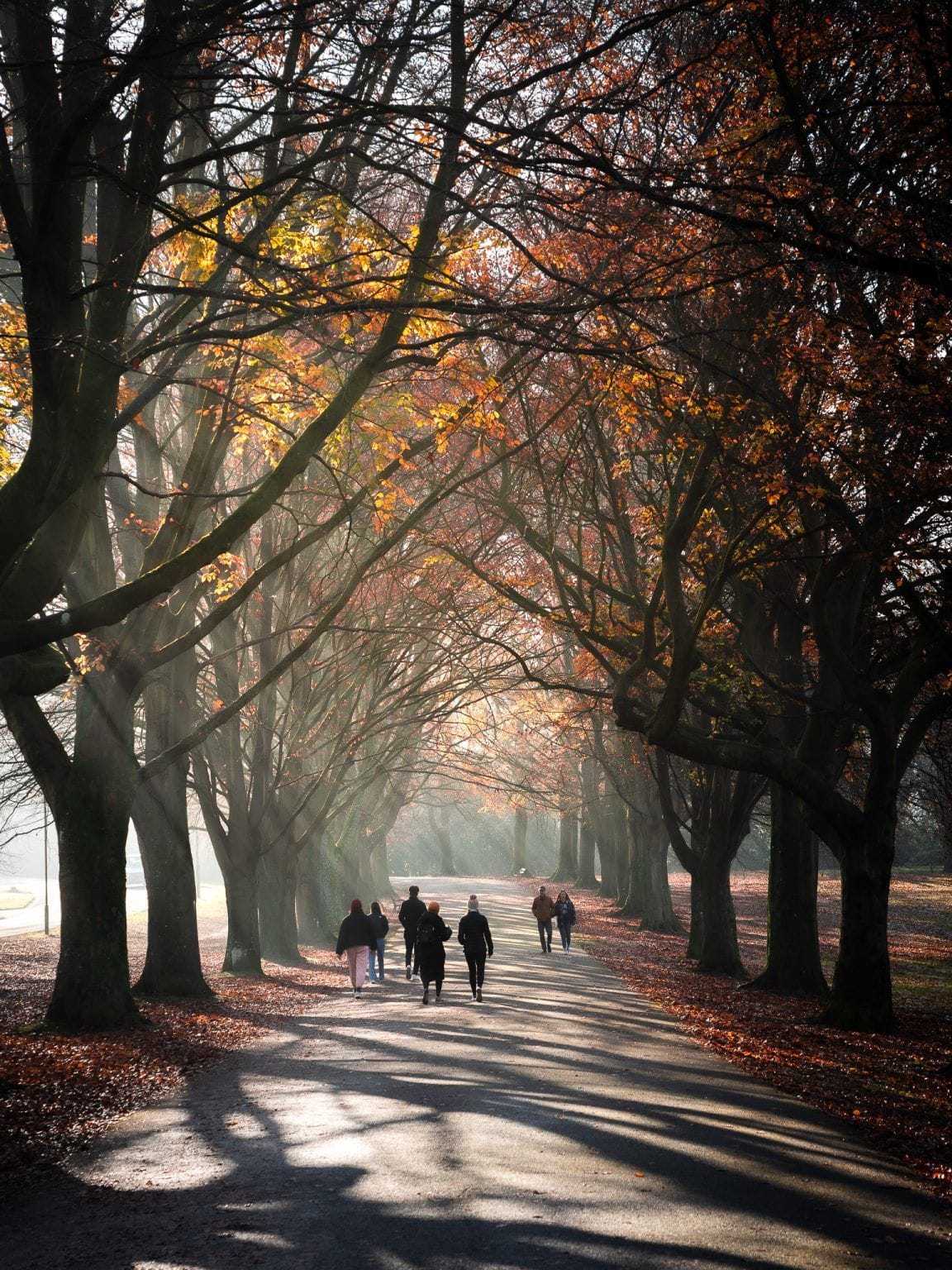 The best Autumn photography locations near Bristol - Sam Binding ...