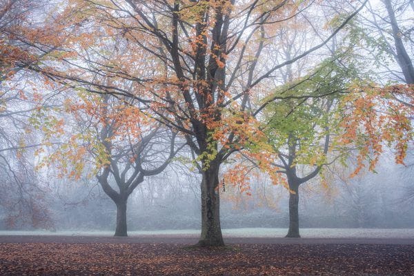 The best Autumn photography locations near Bristol - Sam Binding ...