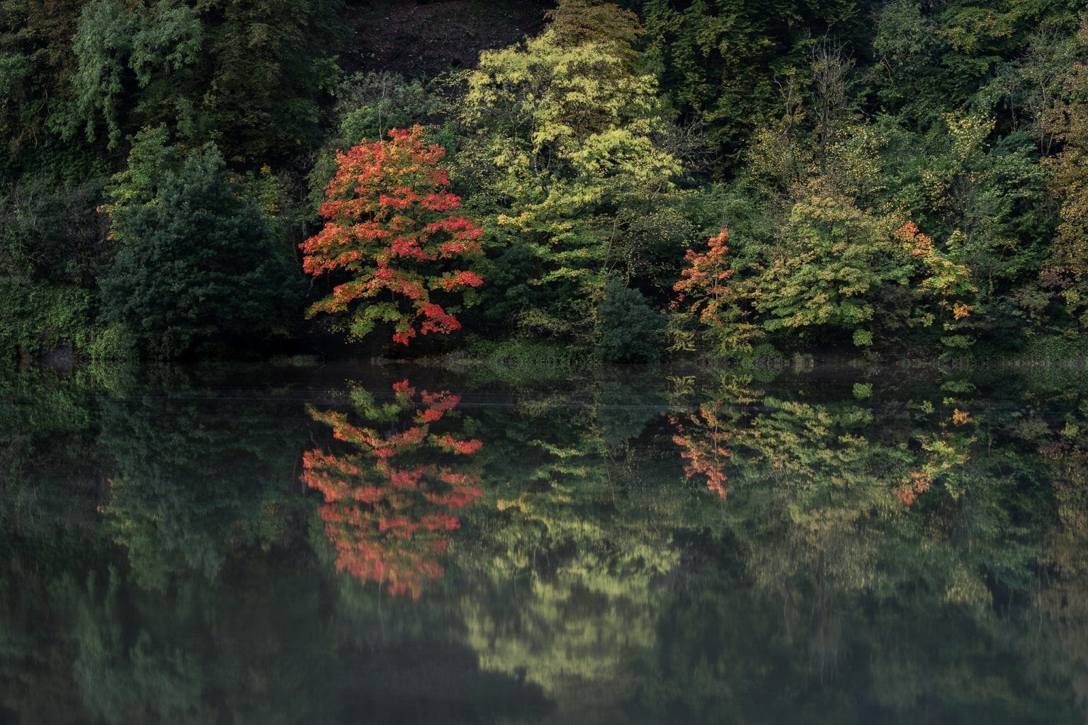 The best Autumn photography locations near Bristol - Sam Binding ...